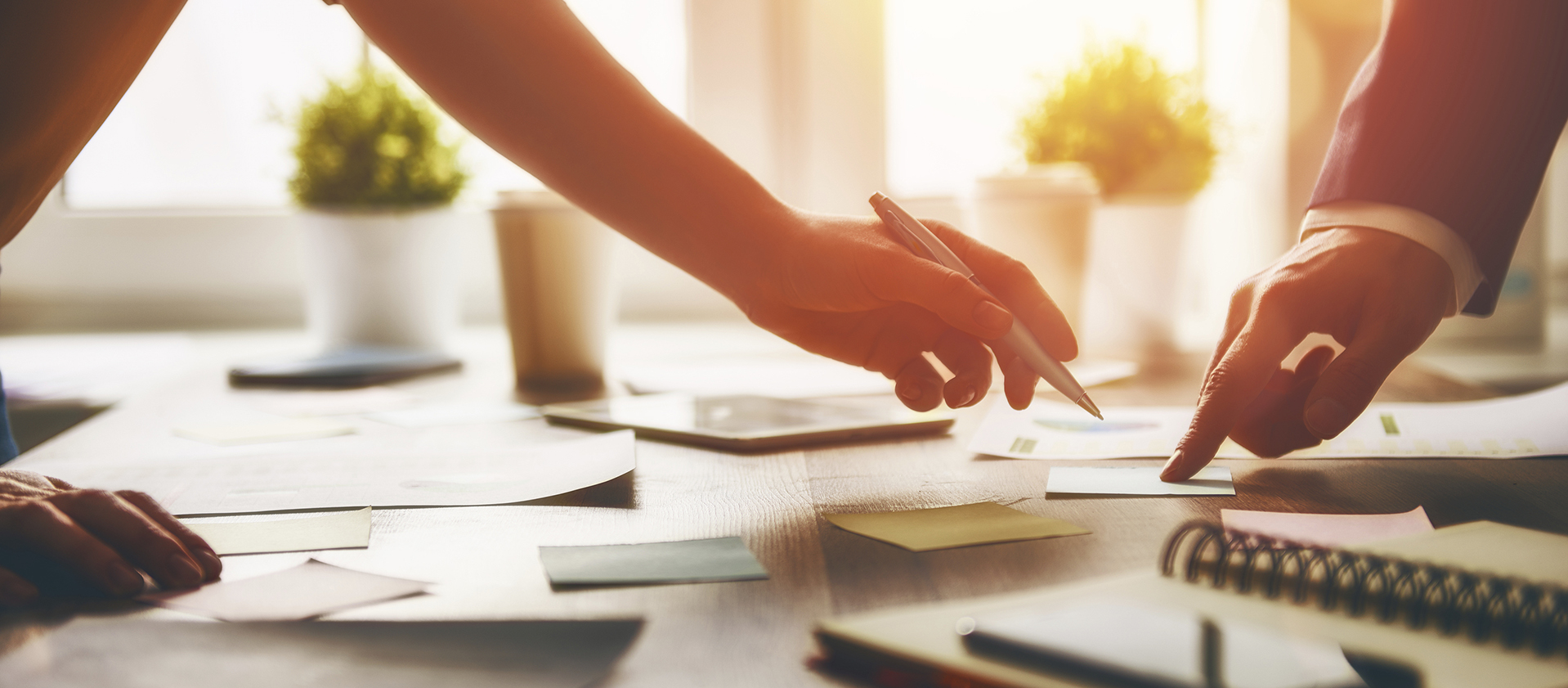 AvidSys | Work With Us